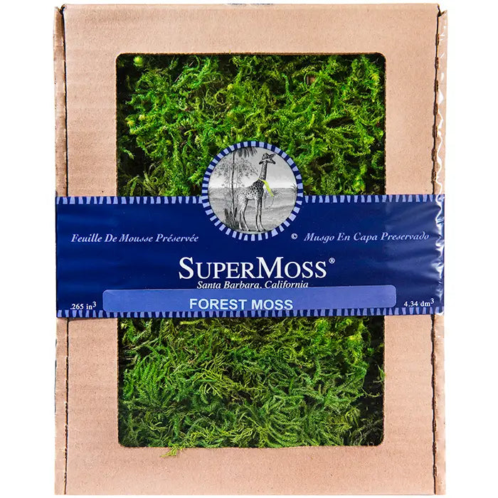Forest Moss Preserved Pack For Miniature Gardens– Fairy Garden Store
